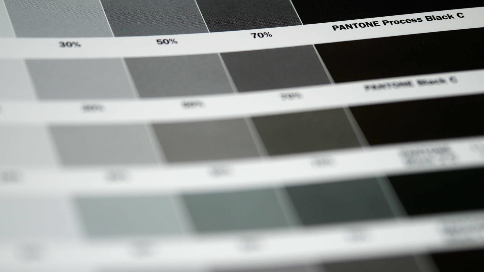 University Brand Center and Identity Guidelines | North Carolina ...