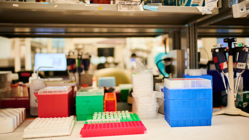 Laboratory Training | North Carolina Central University