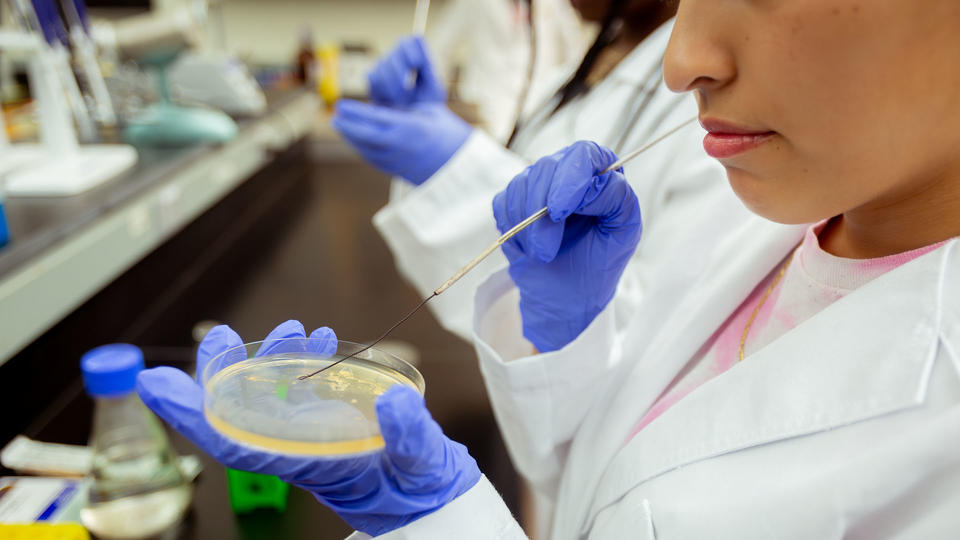 Biological and Biomedical Sciences | North Carolina Central University